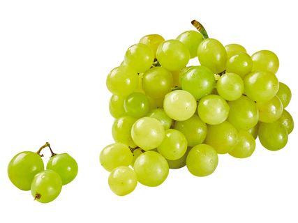 Trauben hell, kernlos kaufen | LIDL