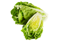 Mini laitue romaine | Lidl
