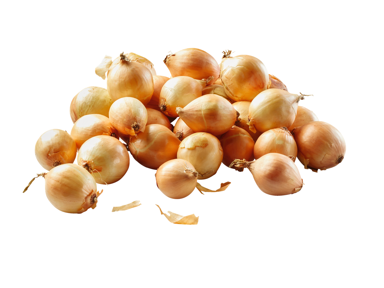 Oignon jaune Acheter | LIDL